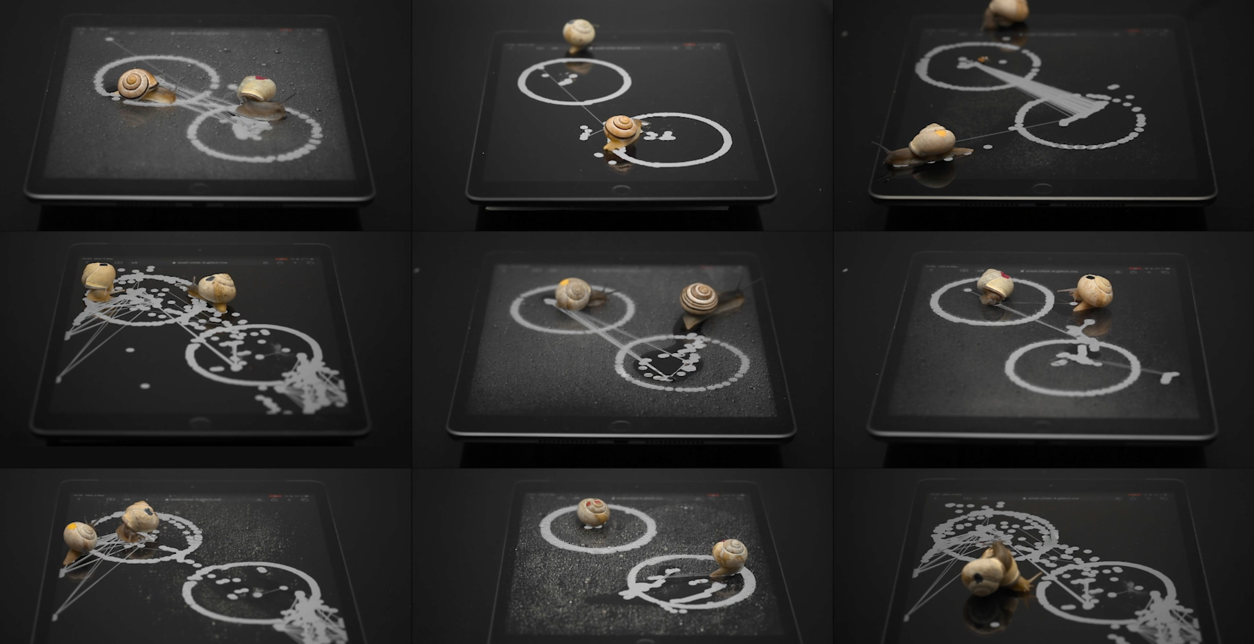 Sass Klaassen and Driessen: Sensing Movements of Trees and Snails ...