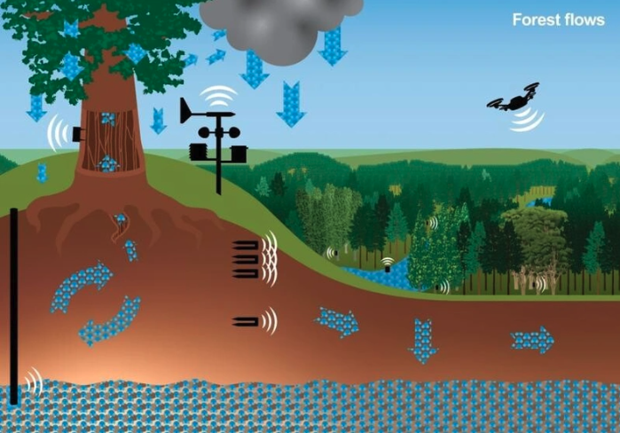 Environmental Digital Twins — Smart Forests Atlas