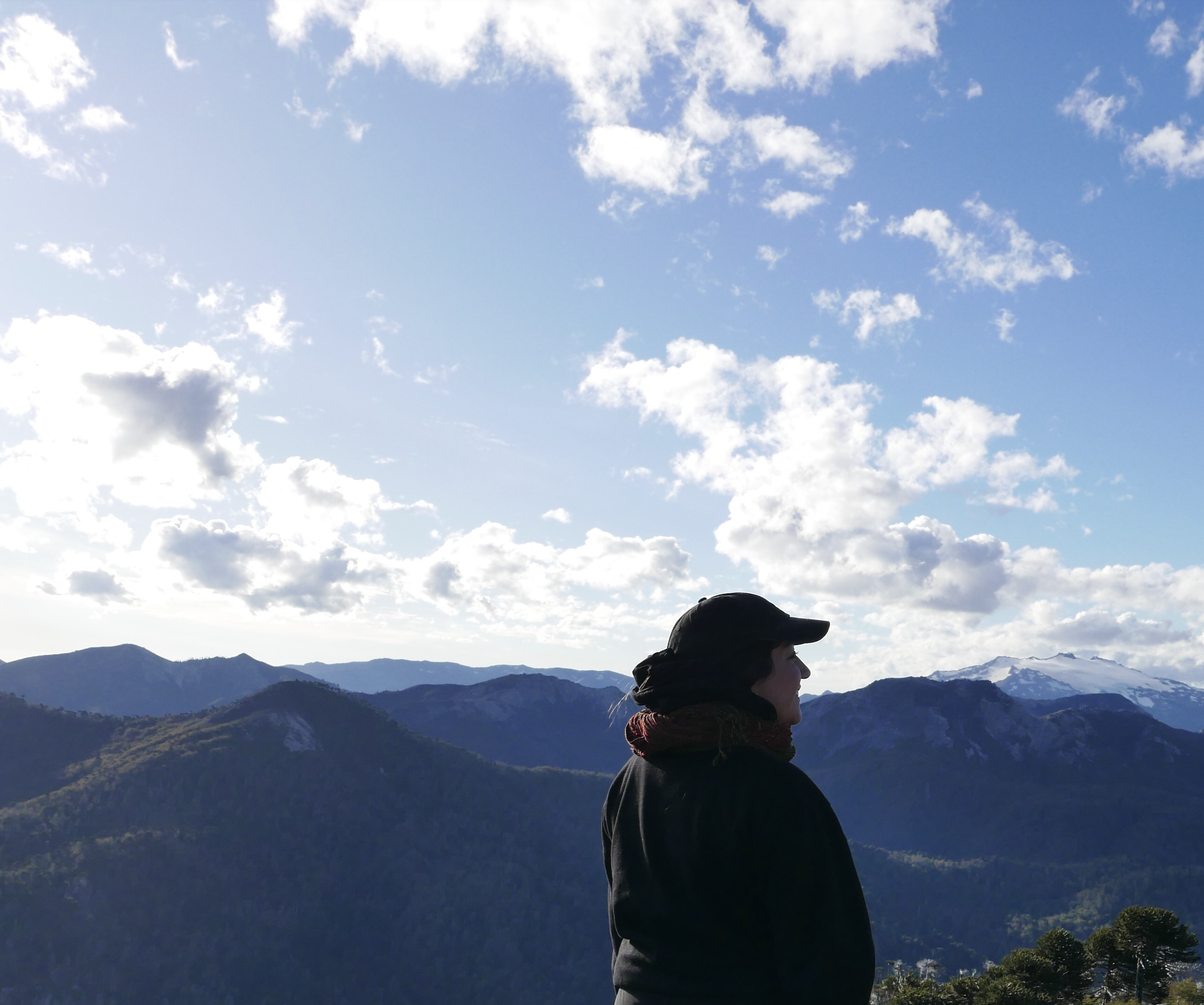Paula Tiara Torres — Smart Forests Atlas
