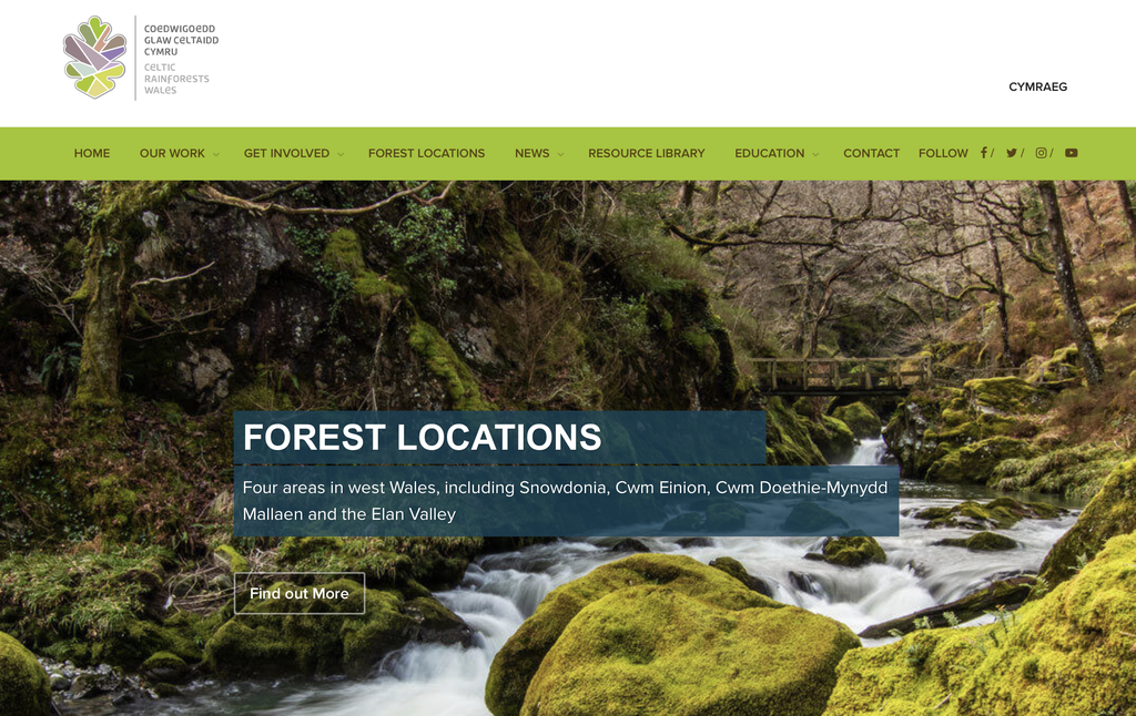 Celtic Rainforests Wales — Smart Forests Atlas