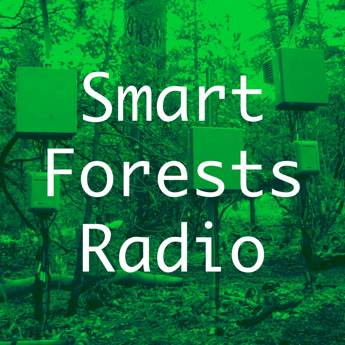 Radio — Smart Forests Atlas