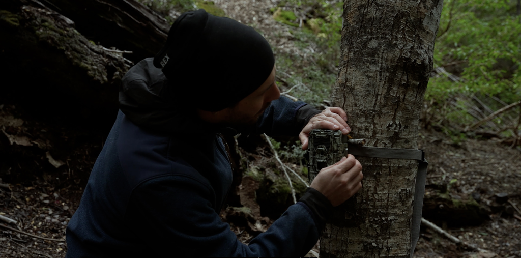 Smart Forests: Chile Case Study — Smart Forests Atlas