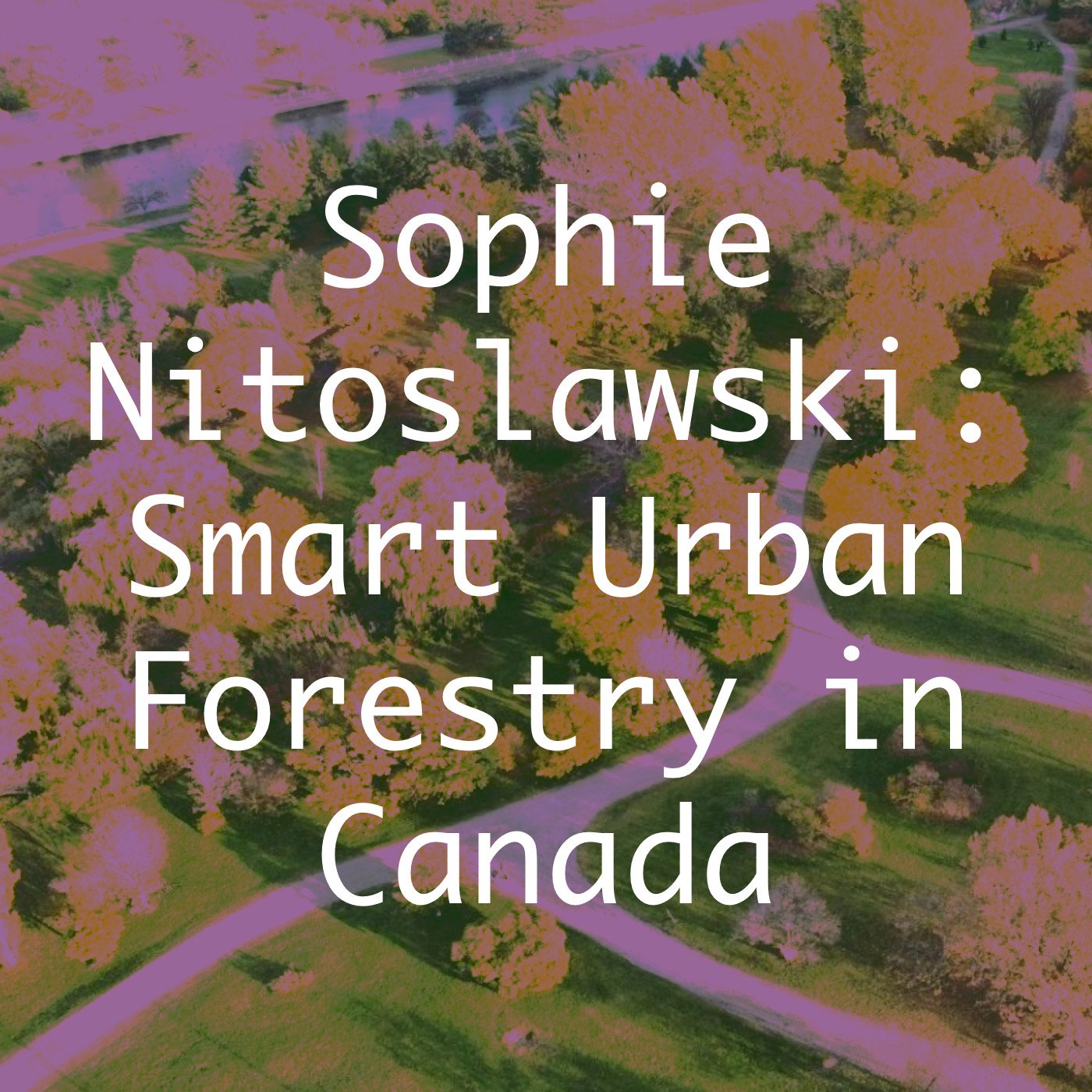Sophie Nitoslawski: Smart Urban Forestry in Canada — Smart Forests Atlas