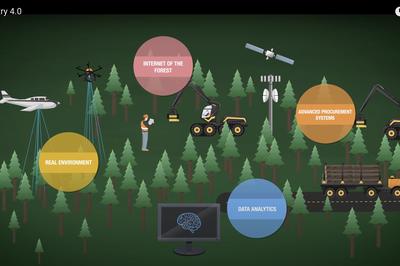 Logbooks — Smart Forests Atlas