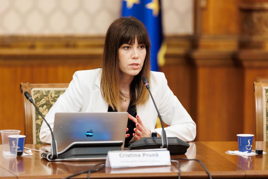 Cristina Prună (USR): Șeful ANRE manipulează în legătură cu ...